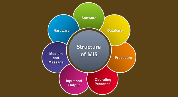 What Is The Full Form Of MIS 